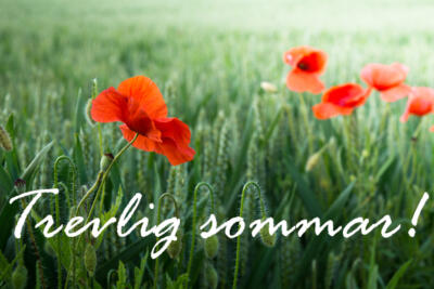 Trevlig sommar - Fixa Assistans AB